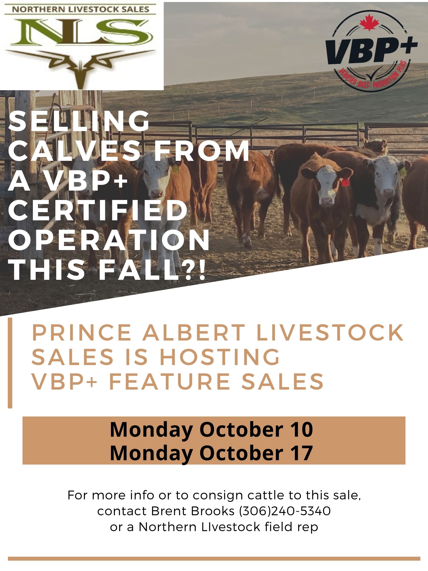 Northern Livestock Sales